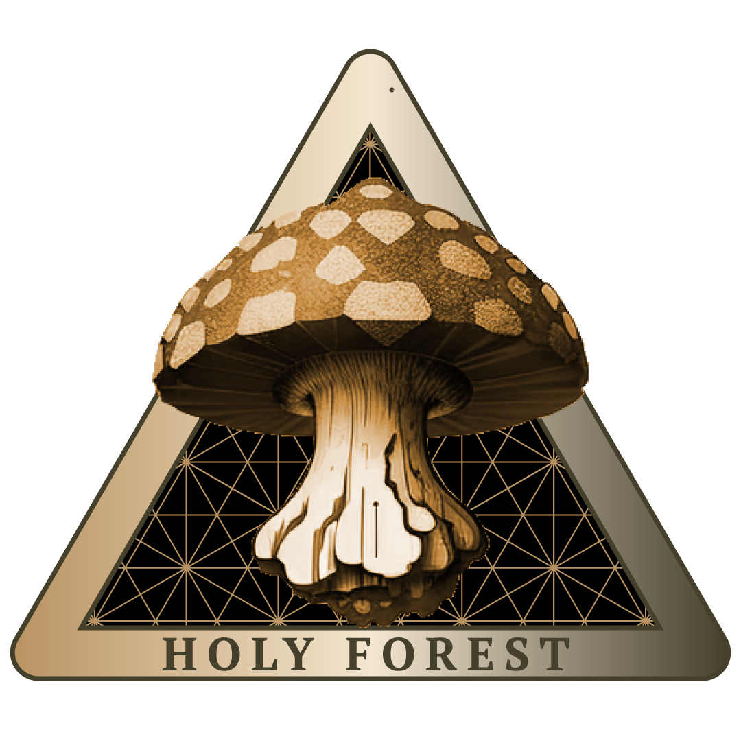 Holy Forest – Bio Vitalpilz Extrakte aus Innsbruck -Austria – Holy ...